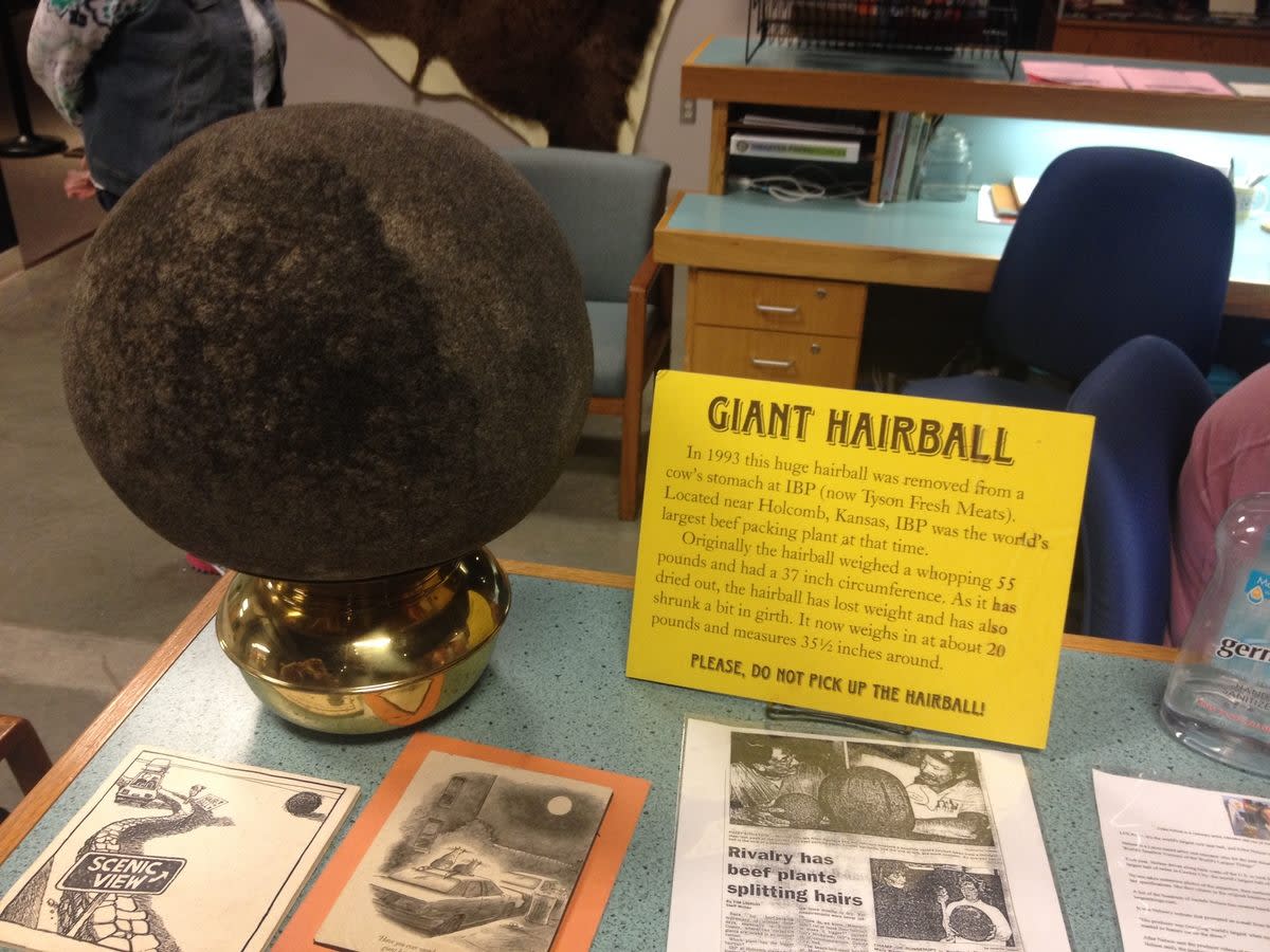World's Largest Hairball Found in a Cow's Stomach - Garden City KS, 67846