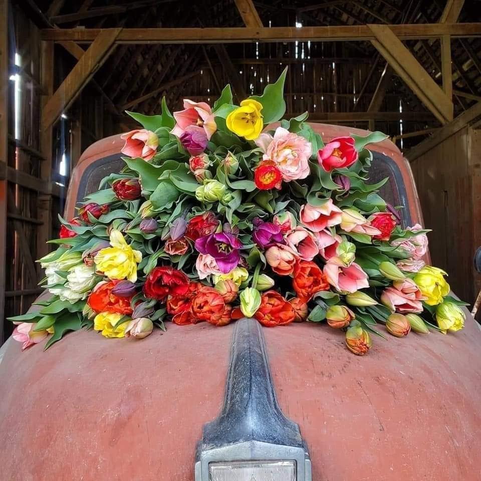 Lulabelle's Flower Farm