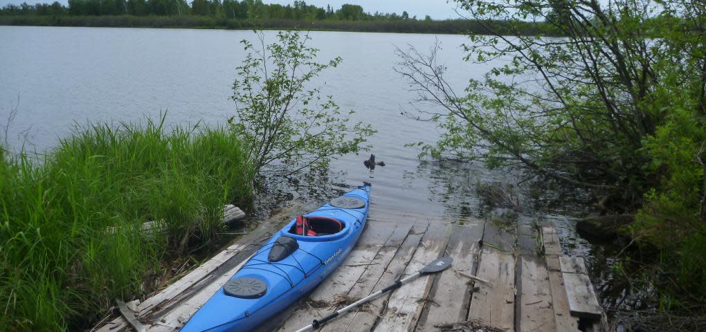 Princess Point Nature Area