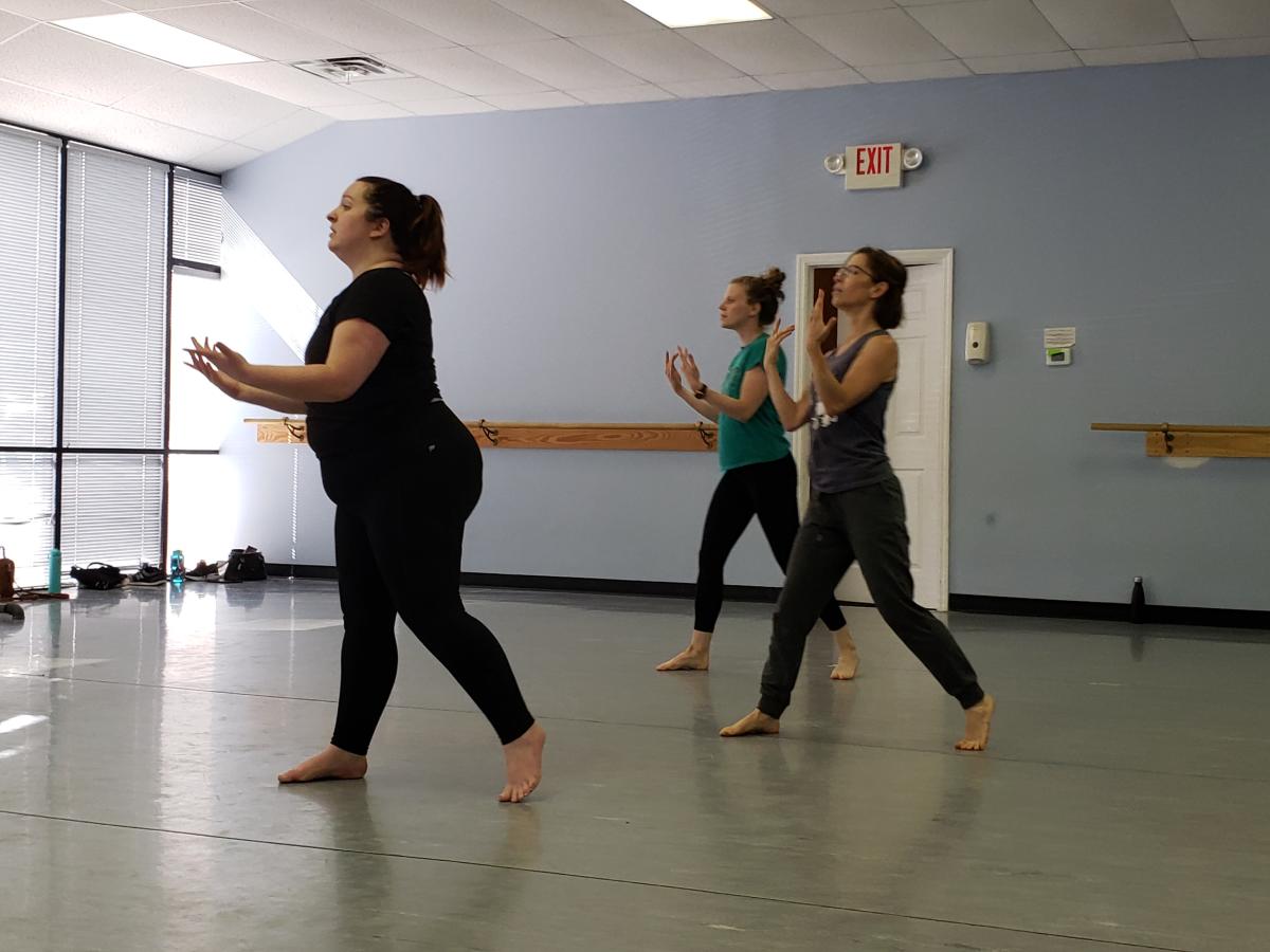 Open-Level Adult Ballet Class