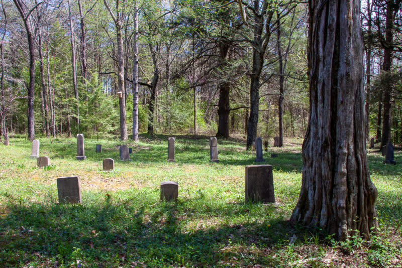 Elza Gate Park Trails