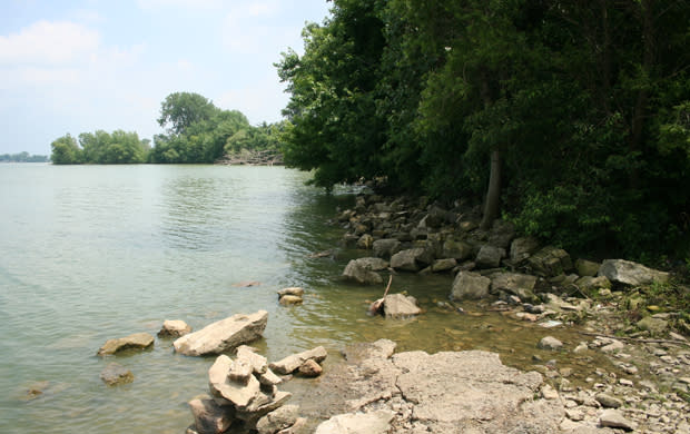 Willow Point Wildlife Area