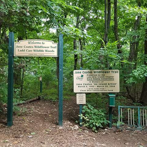 Ladd Carr Wildlife Woods