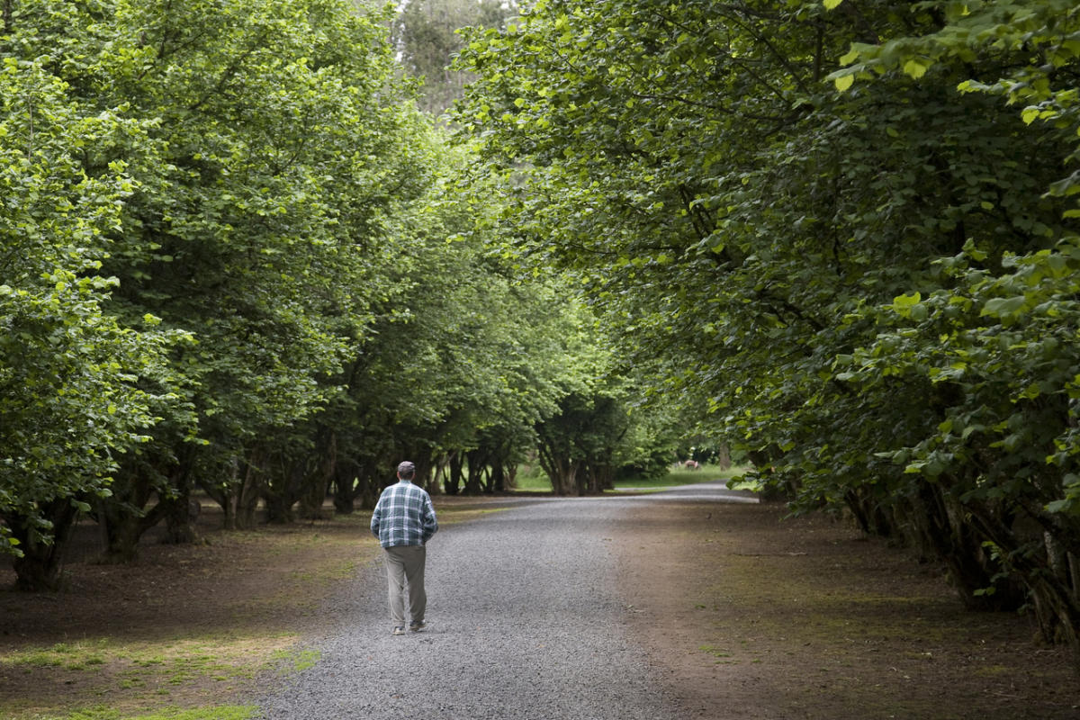 Dorris Ranch Living History Farm