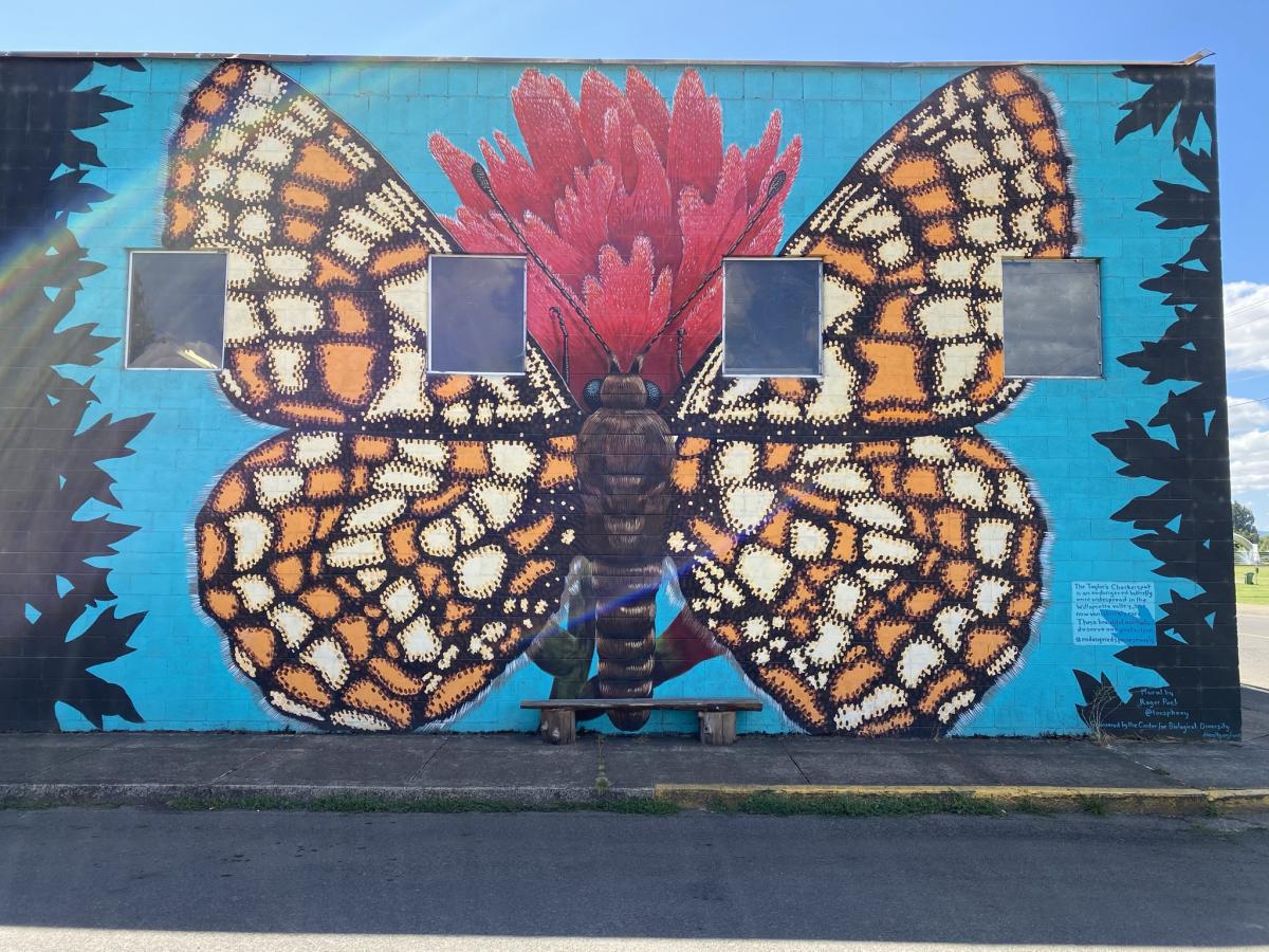 "Taylor’s Checkerspot Butterfly" Mural by Roger Peet