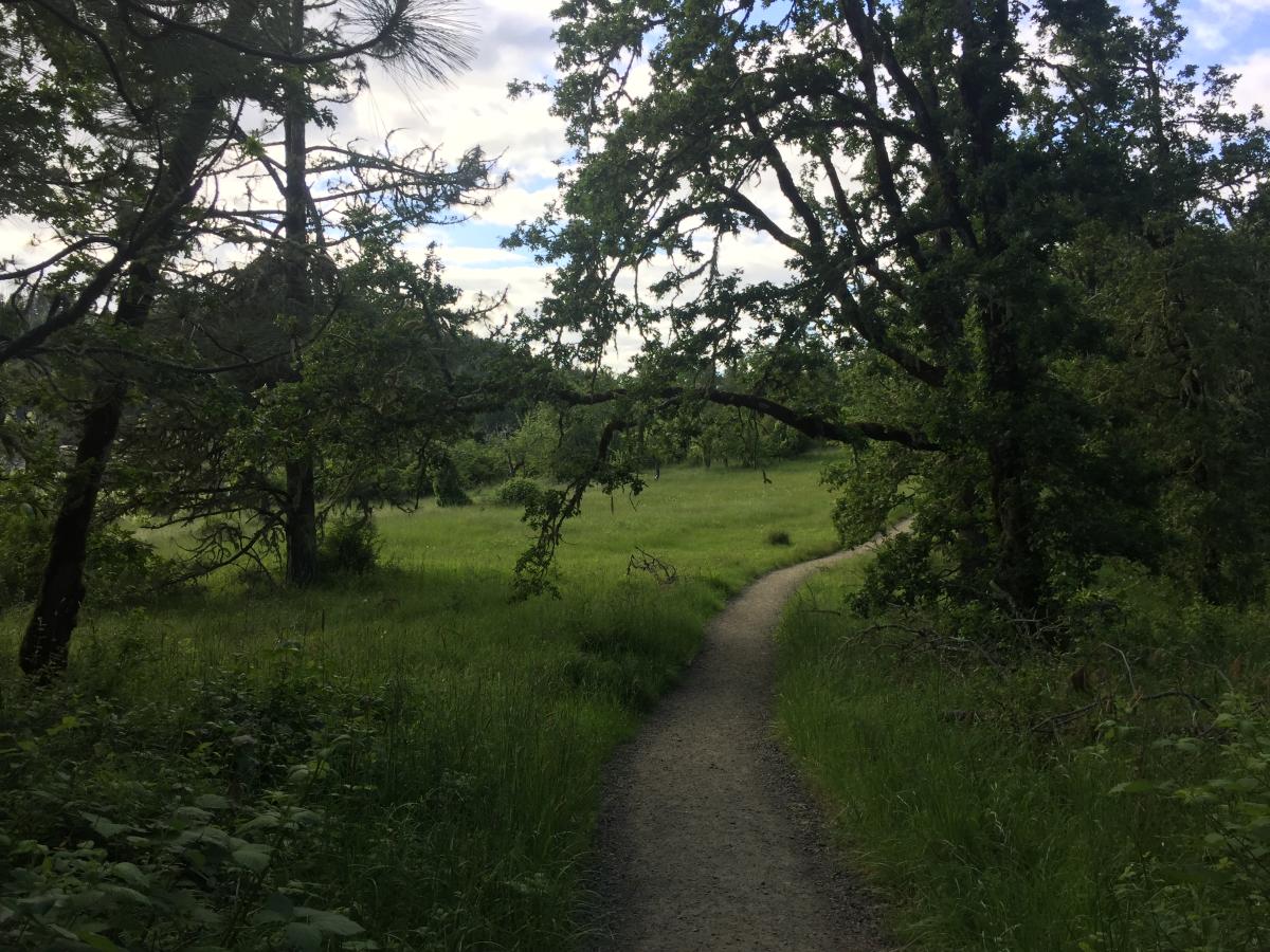 Ridgeline Trail System - Wild Iris Ridge