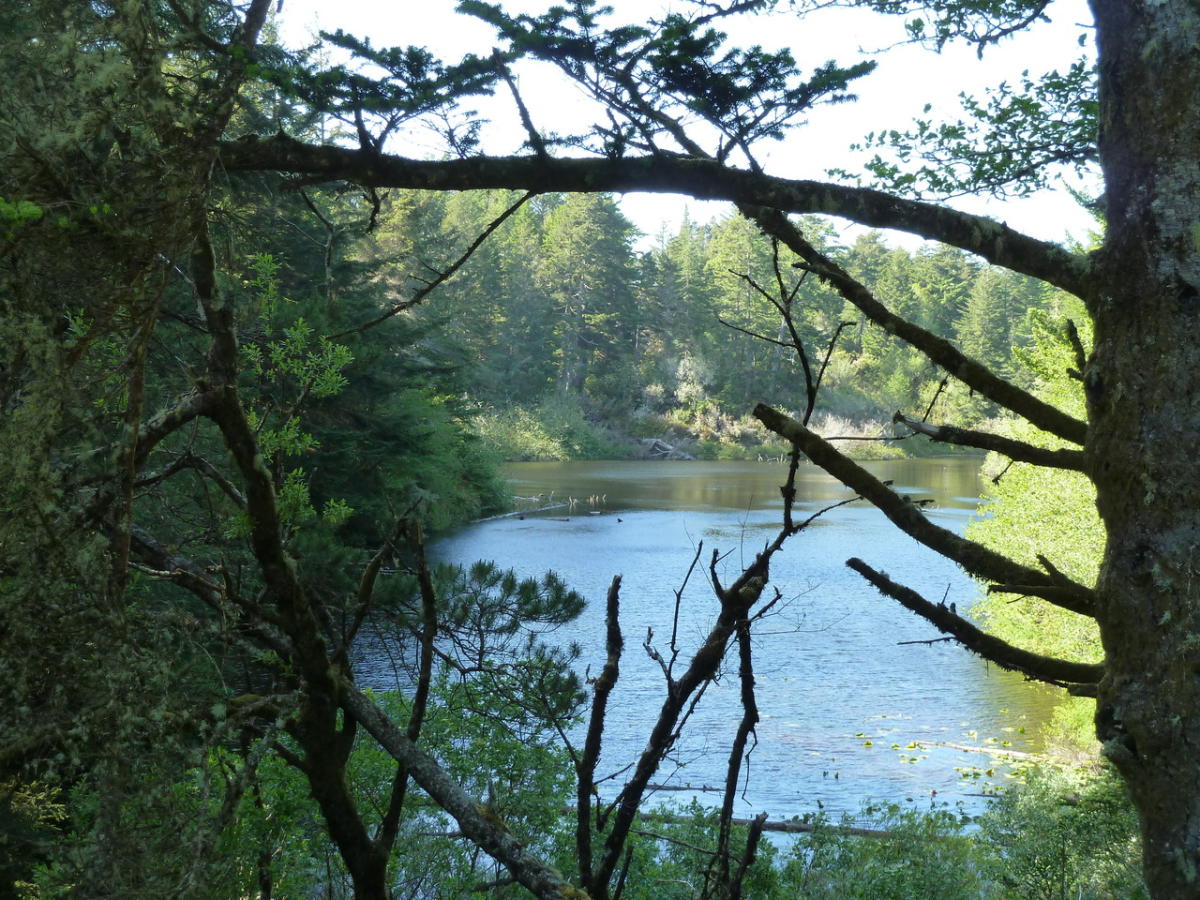Carter Lake Campground