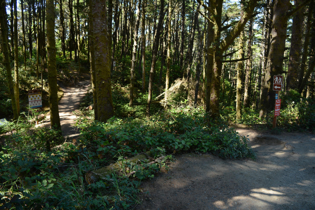 Hobbit Trail