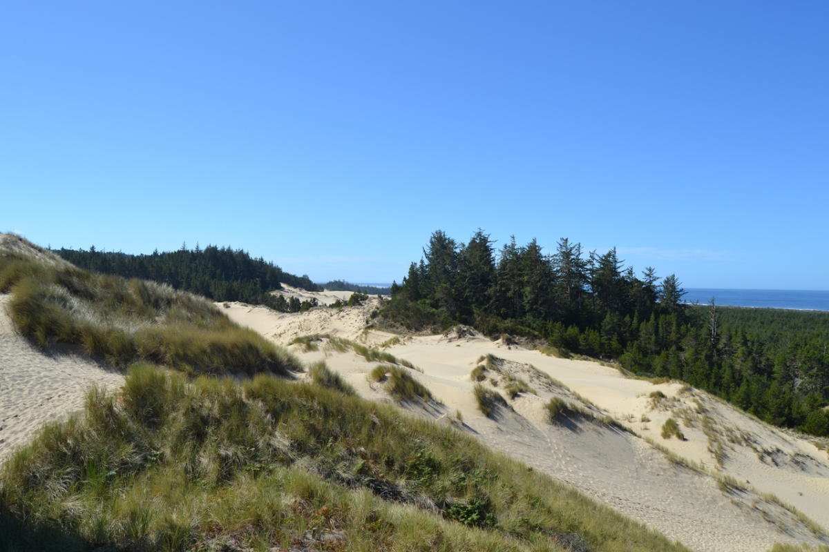 Oregon Dunes National Recreation Area