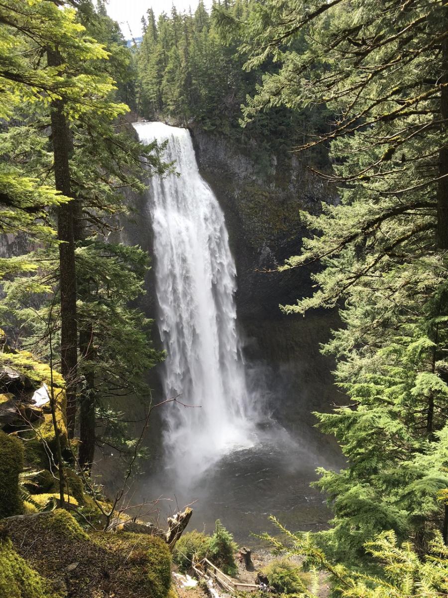 Salt Creek Falls