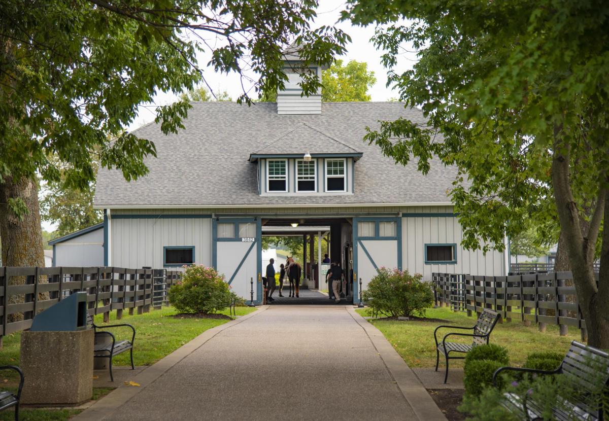 Kentucky Horse Park - Lexington, KY - VisitLex