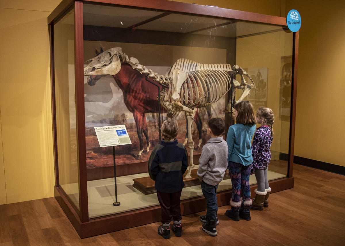 International Museum of the Horse - Lexington, KY - VisitLex