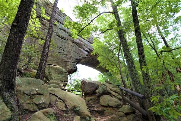 Natural Bridge State Resort Park