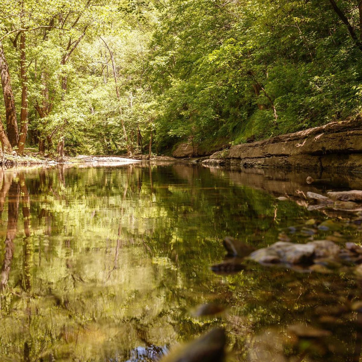 Lower Howard's Creek Nature Preserve - Lexington, KY - VisitLex