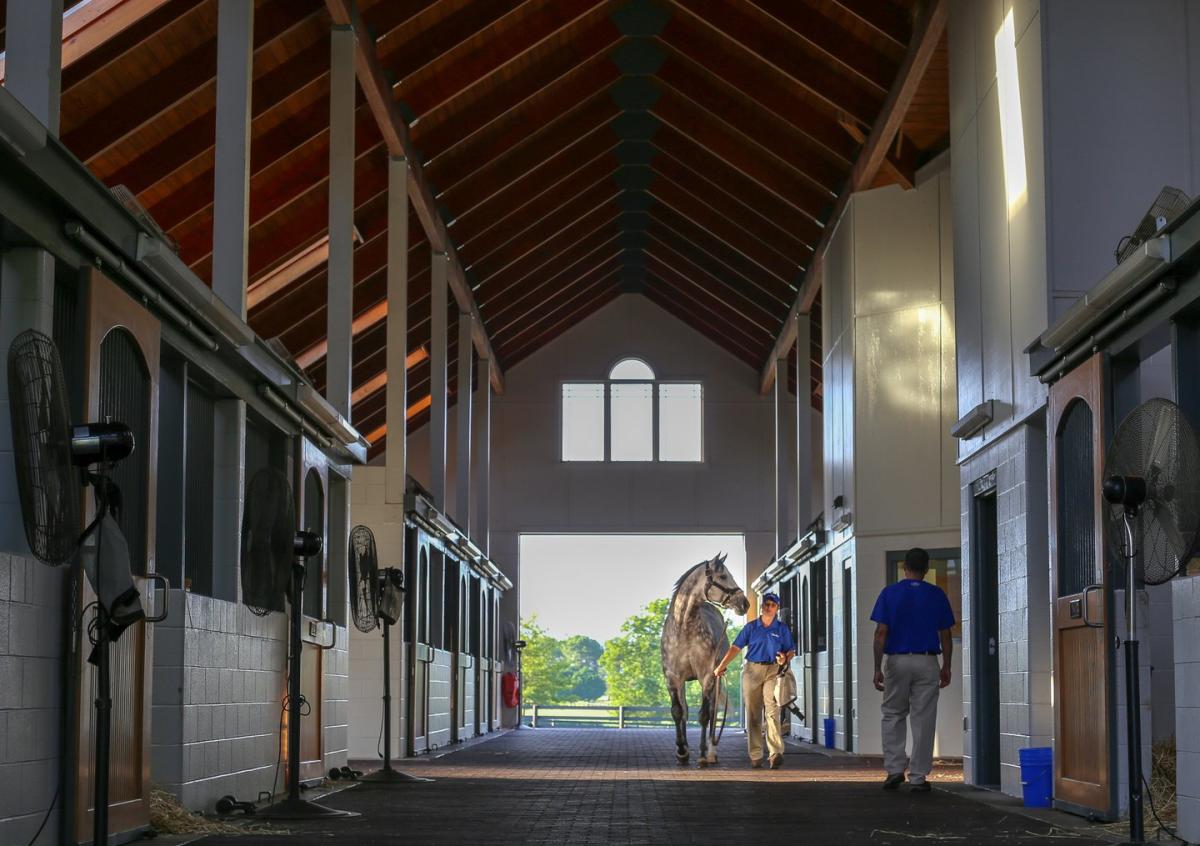 Godolphin's Jonabell Farm - Lexington, KY - VisitLex