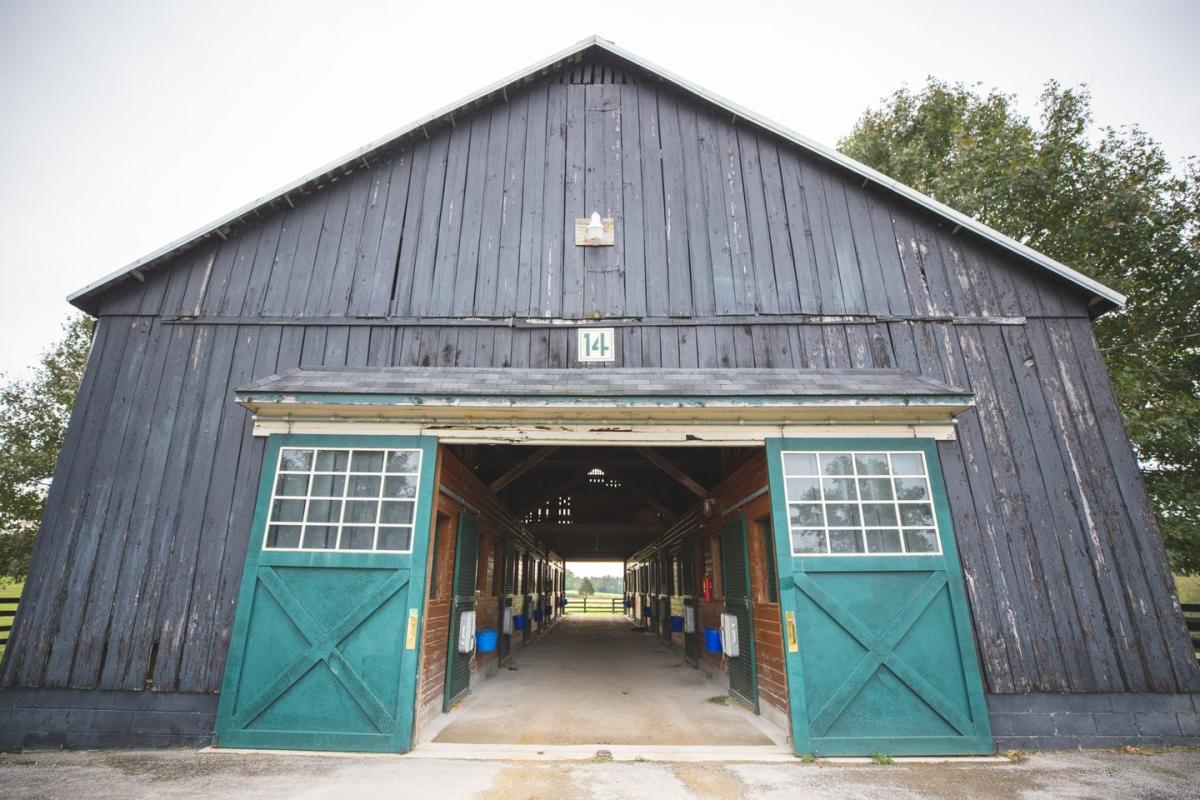 Mill Ridge Farm - Lexington, KY - VisitLex