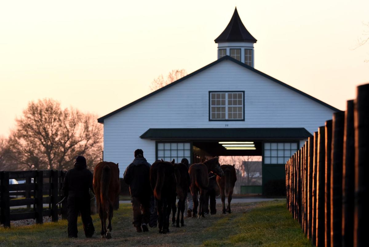 Spendthrift Farm - Lexington, KY - VisitLex