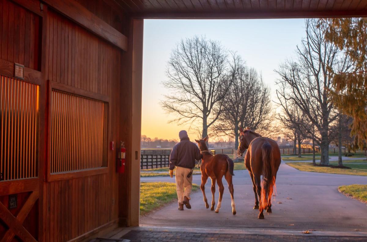 Stonestreet Farm - Lexington, KY - VisitLex