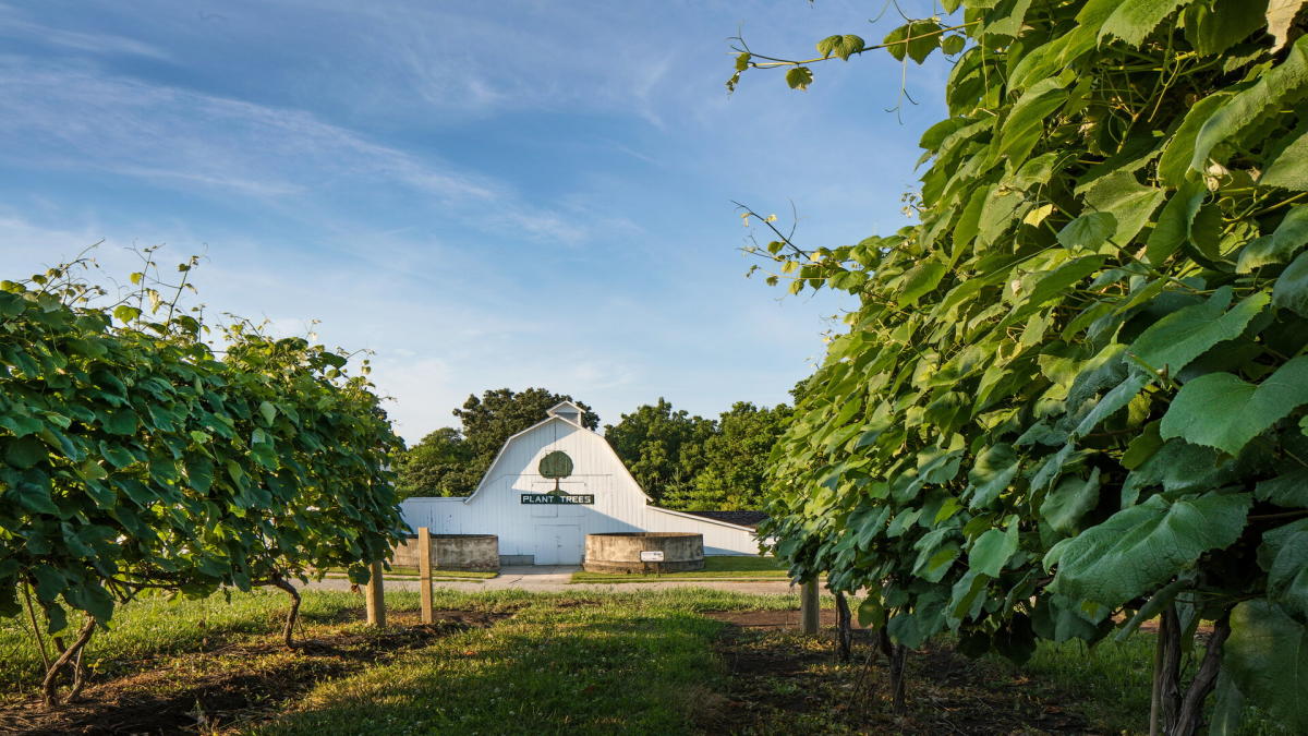 Lied Lodge at Arbor Day Farm