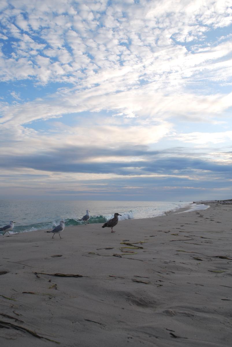 Hither Hills State Park