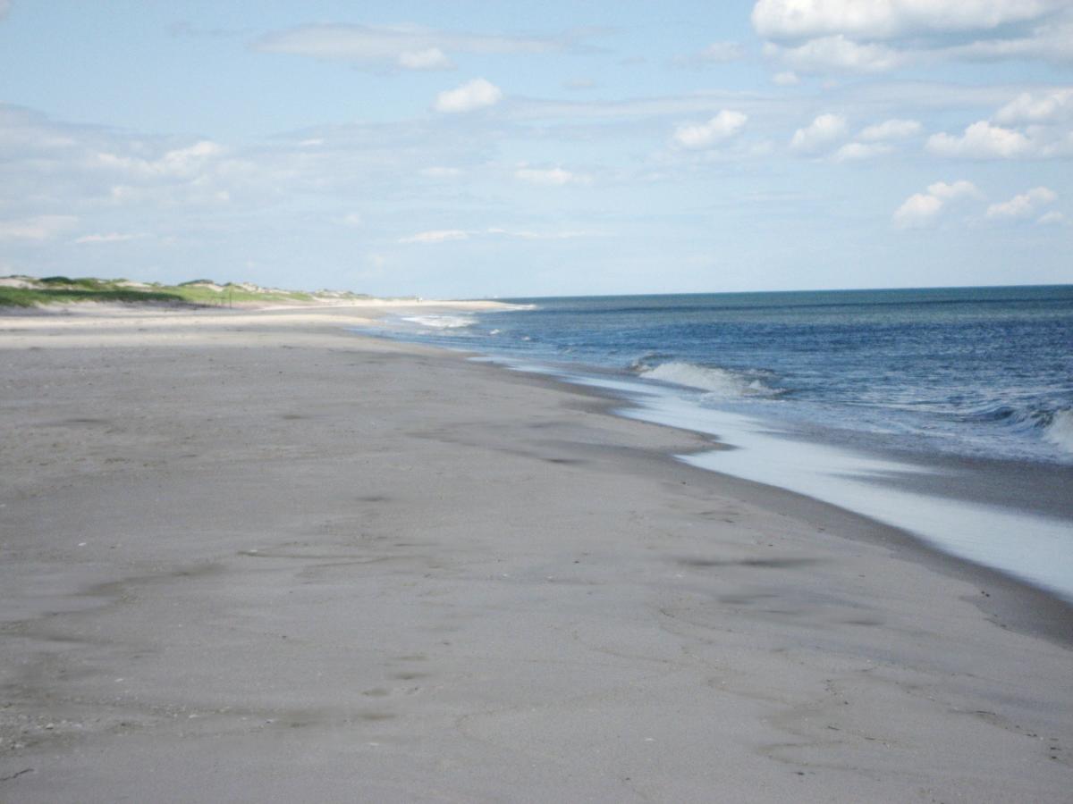 Watch Hill at Fire Island