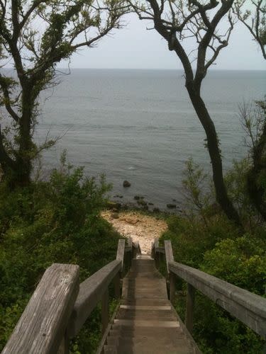 Peconic Dunes County Park