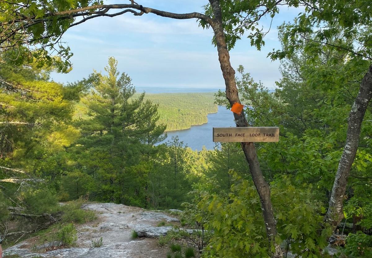 Bald Pate Mountain Preserve