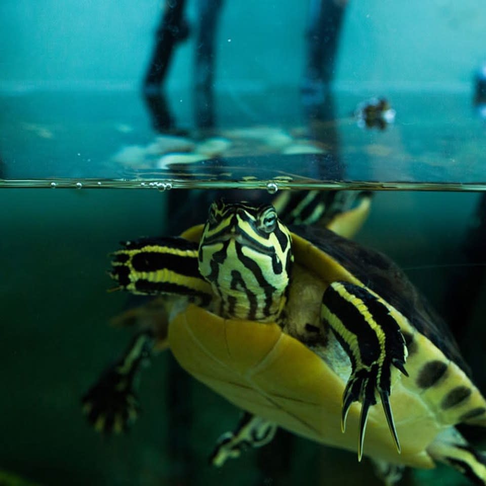 Children's Museum & Theatre of Maine | Portland, ME 04101