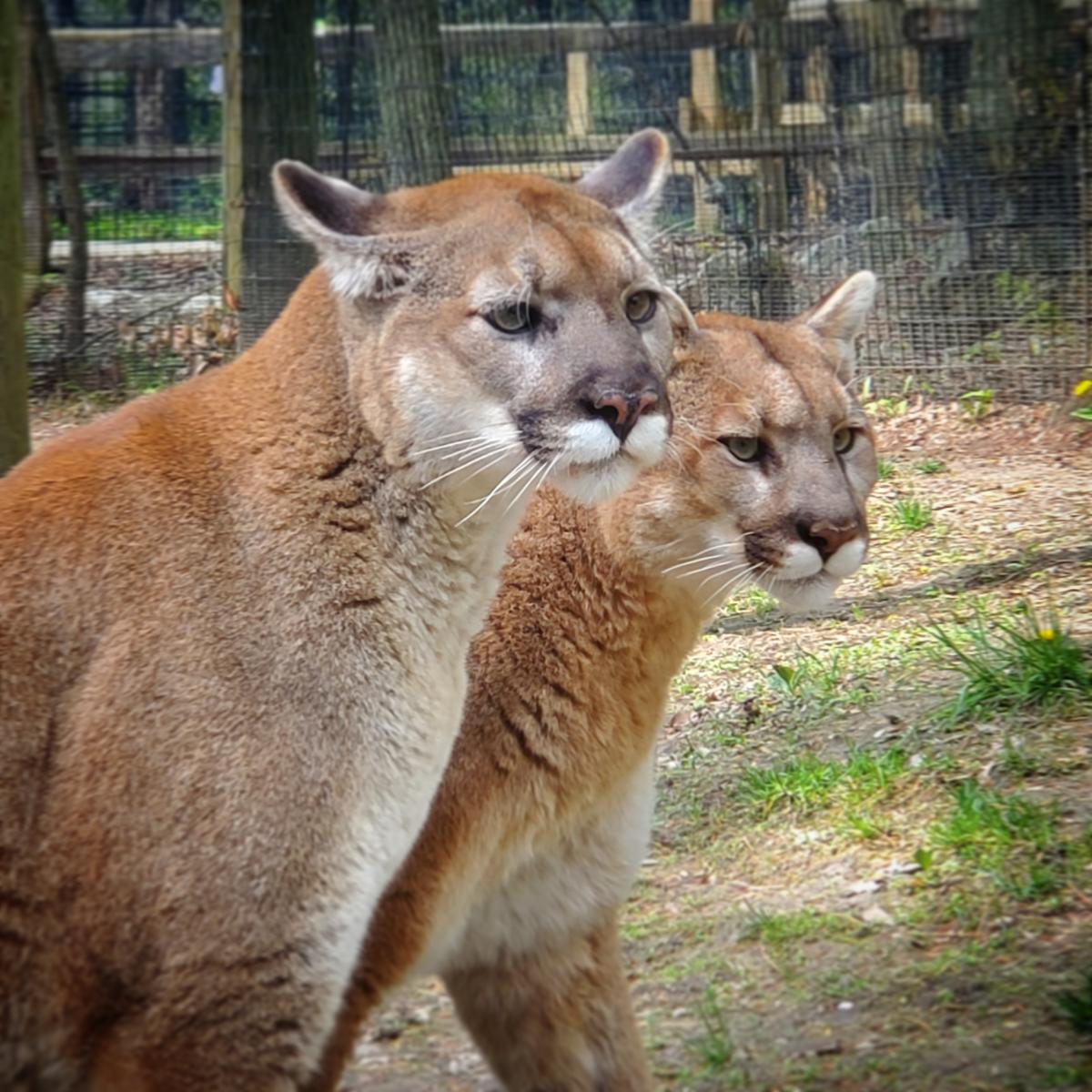 Manitowoc Lincoln Park Zoo