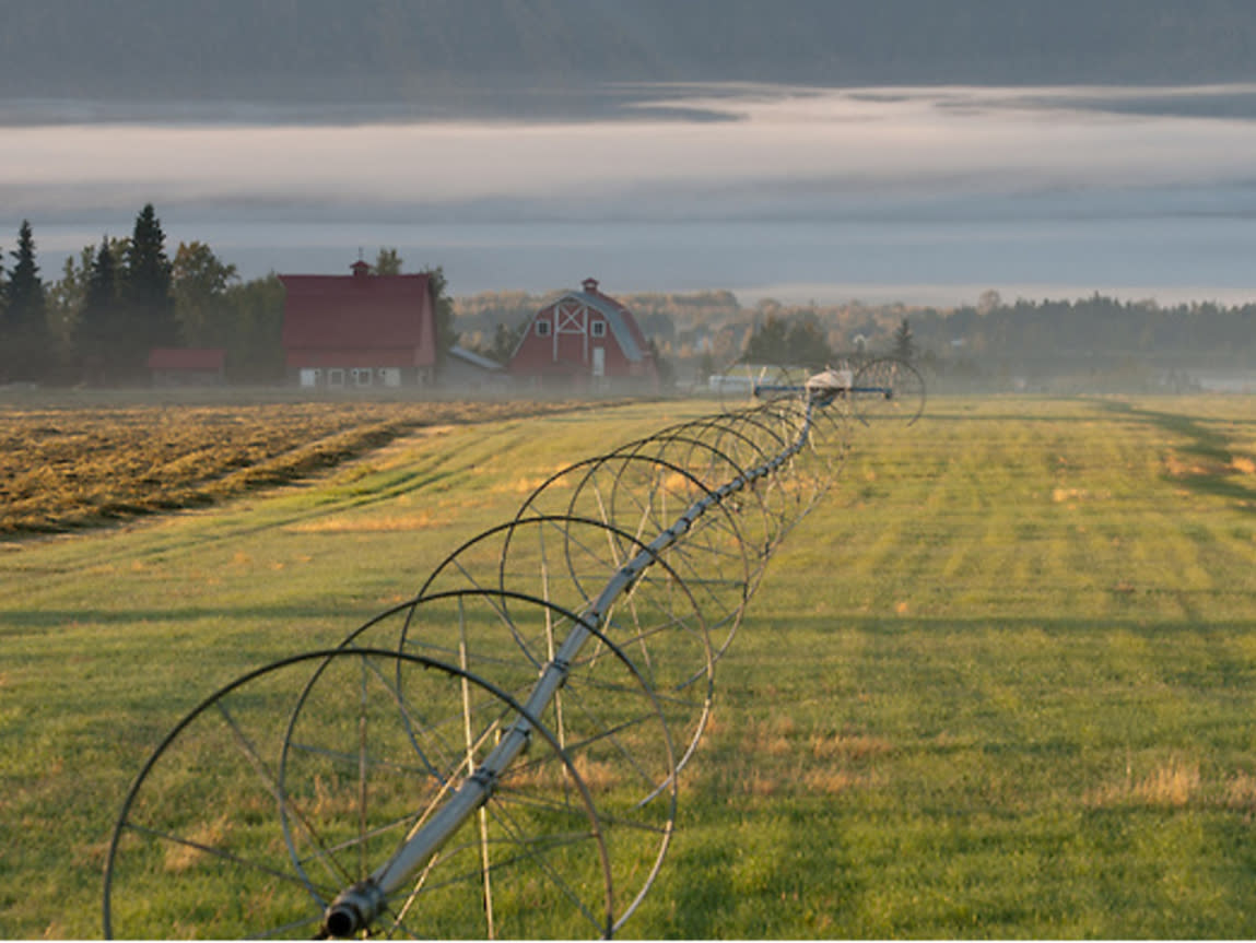 Alaska Farm Tours
