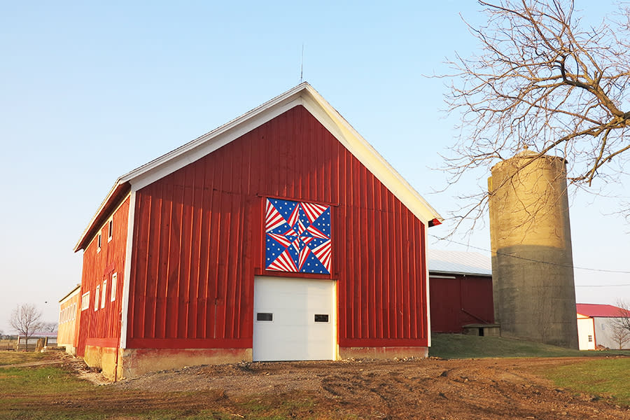 Modified American Flag