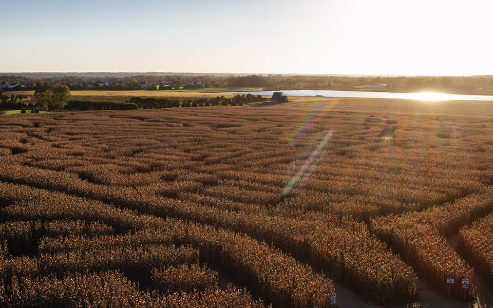 Richardson Adventure Farm
