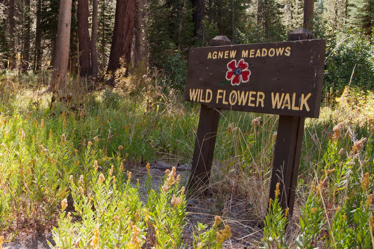 Agnew Wildflower Loop