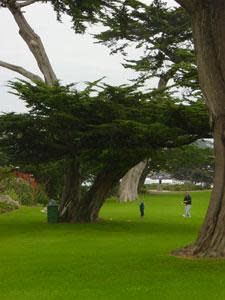 Berwick Park Monterey Wedding