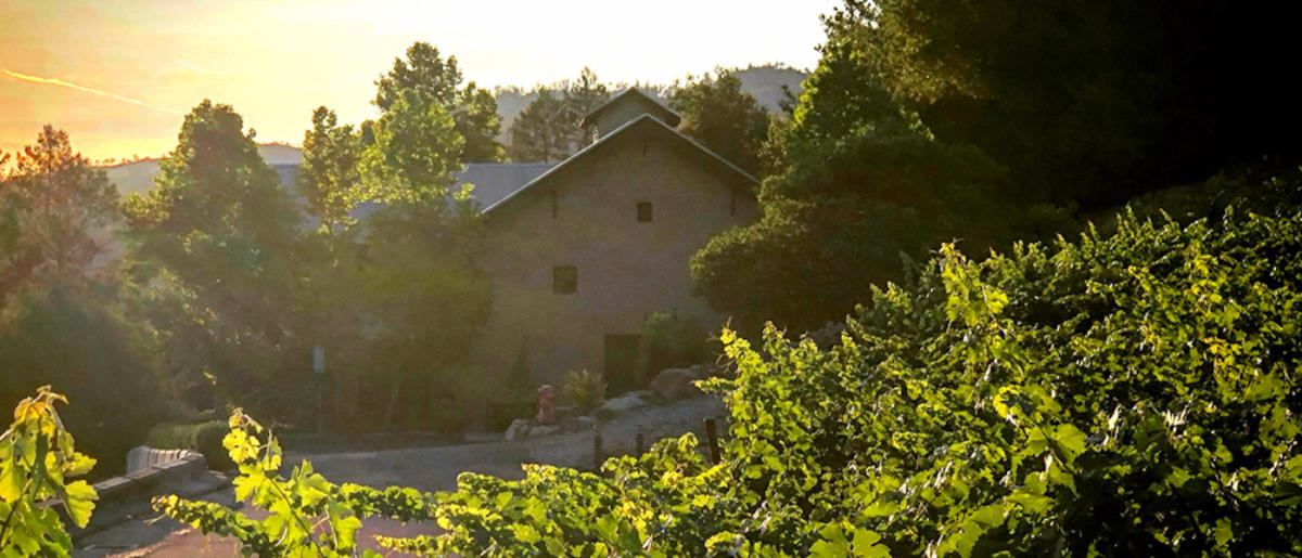 Bravante Vineyards | Angwin, CA 94508