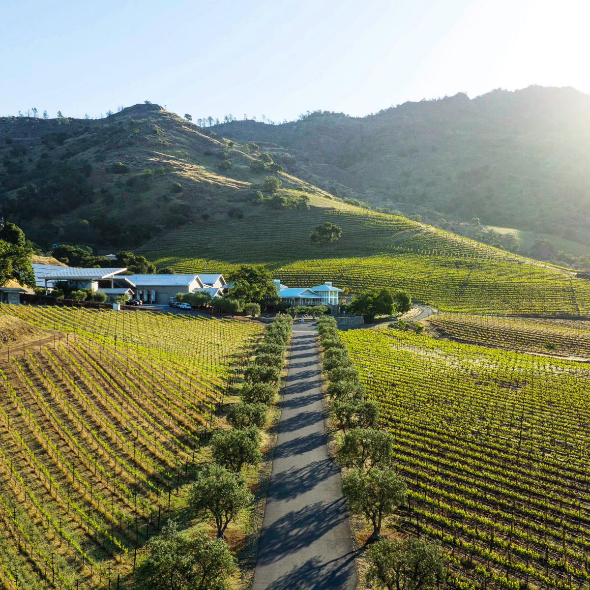 Shafer Vineyards | Napa, CA 94558