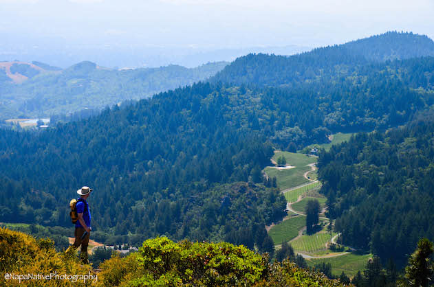 Napa Native Tours