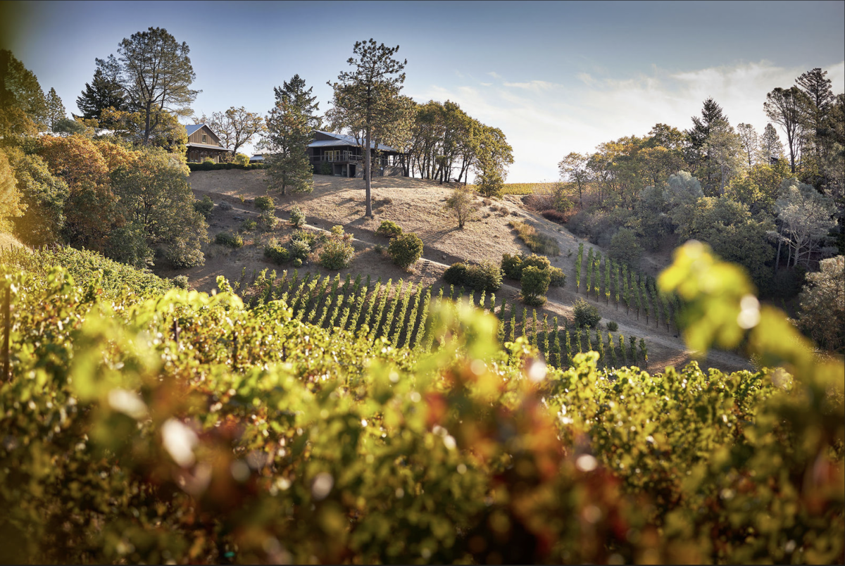 Outpost Wines | Angwin, CA 94508