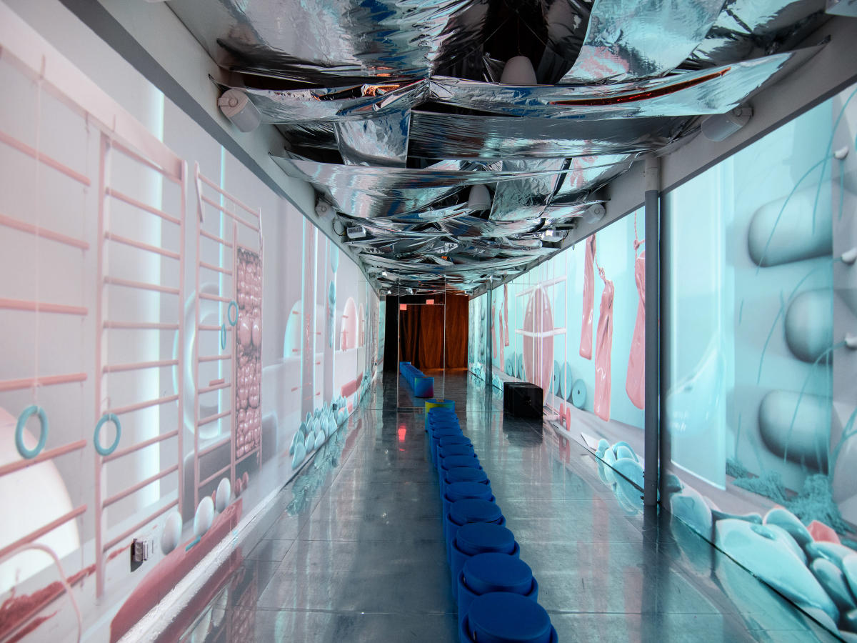 Sloomoo Institute | Manhattan, NY 10013