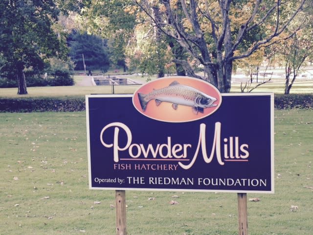 Powder Mills Park | Pittsford, NY 14534
