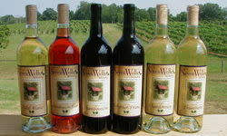 Northern Kentucky Back Roads Wine Trail