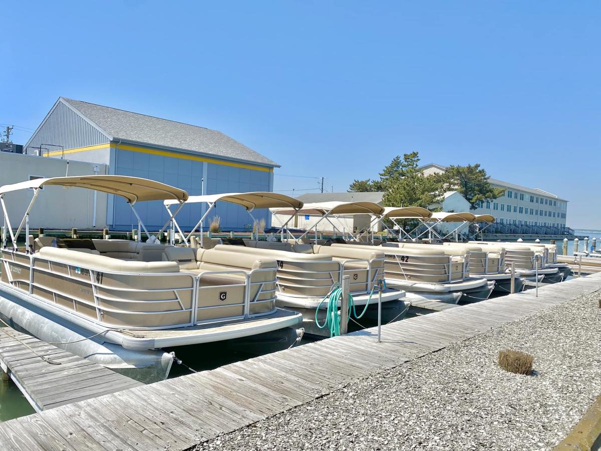Bayside Boat Rentals