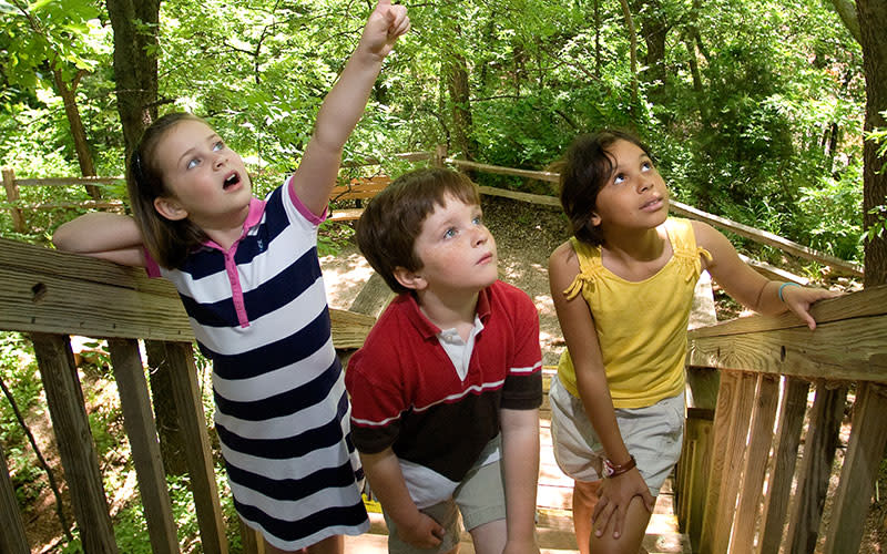 Martin Park Nature Center
