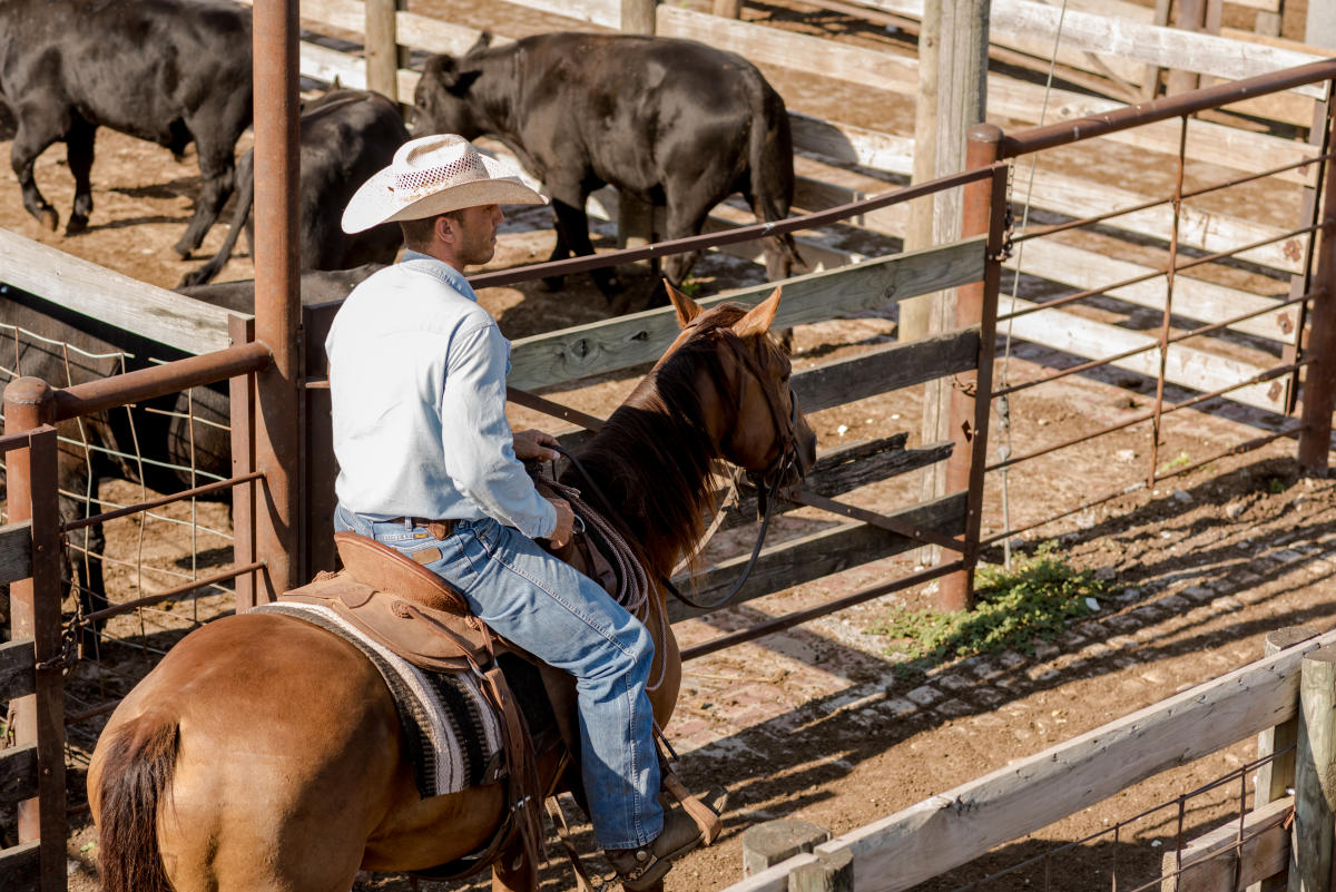 Oklahoma National Stockyards