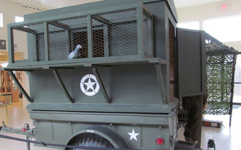 The American Pigeon Museum & Library