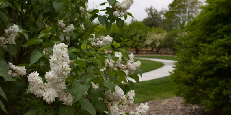 OPPD Arboretum | Omaha, NE 68164