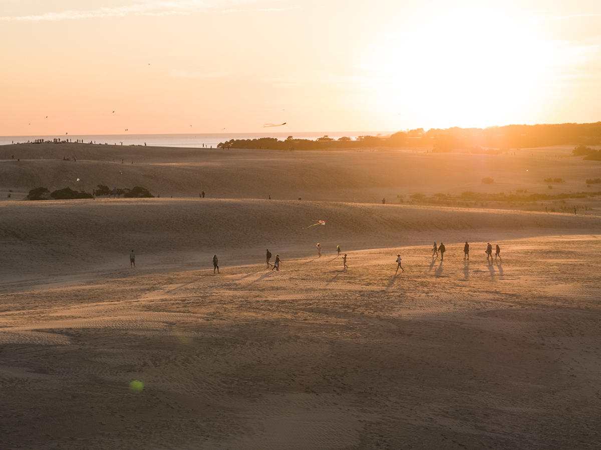 Jockey's Ridge State Park