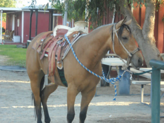 Ivey Ranch Equestrian Center
