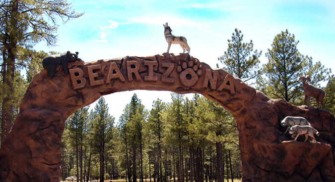 Bearizona Wildlife Park - Williams AZ, 86046