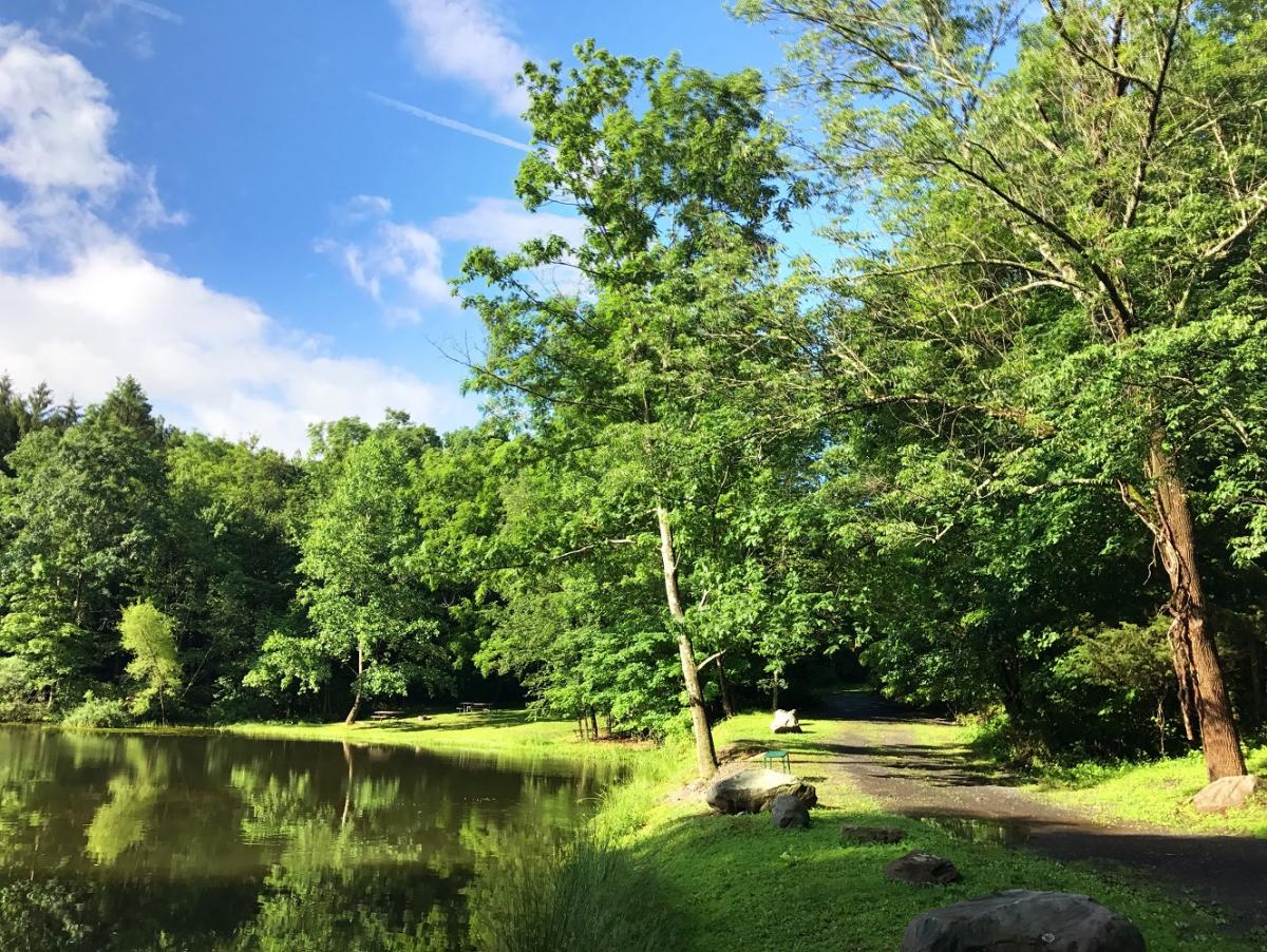 Cranberry Run Campground | East Stroudsburg, PA 18301